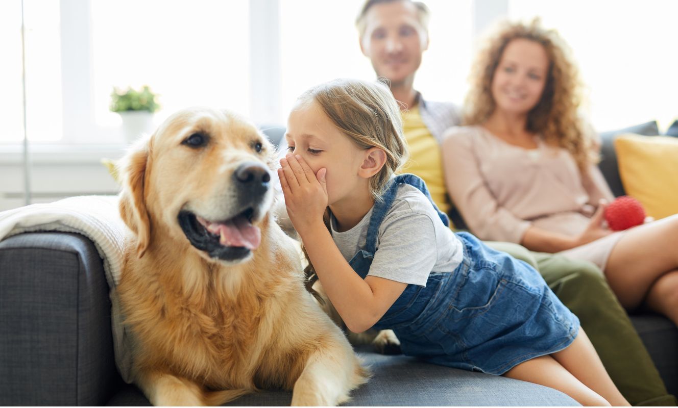 Pet sitting: intercambio de casas y el cuidado de mascotas